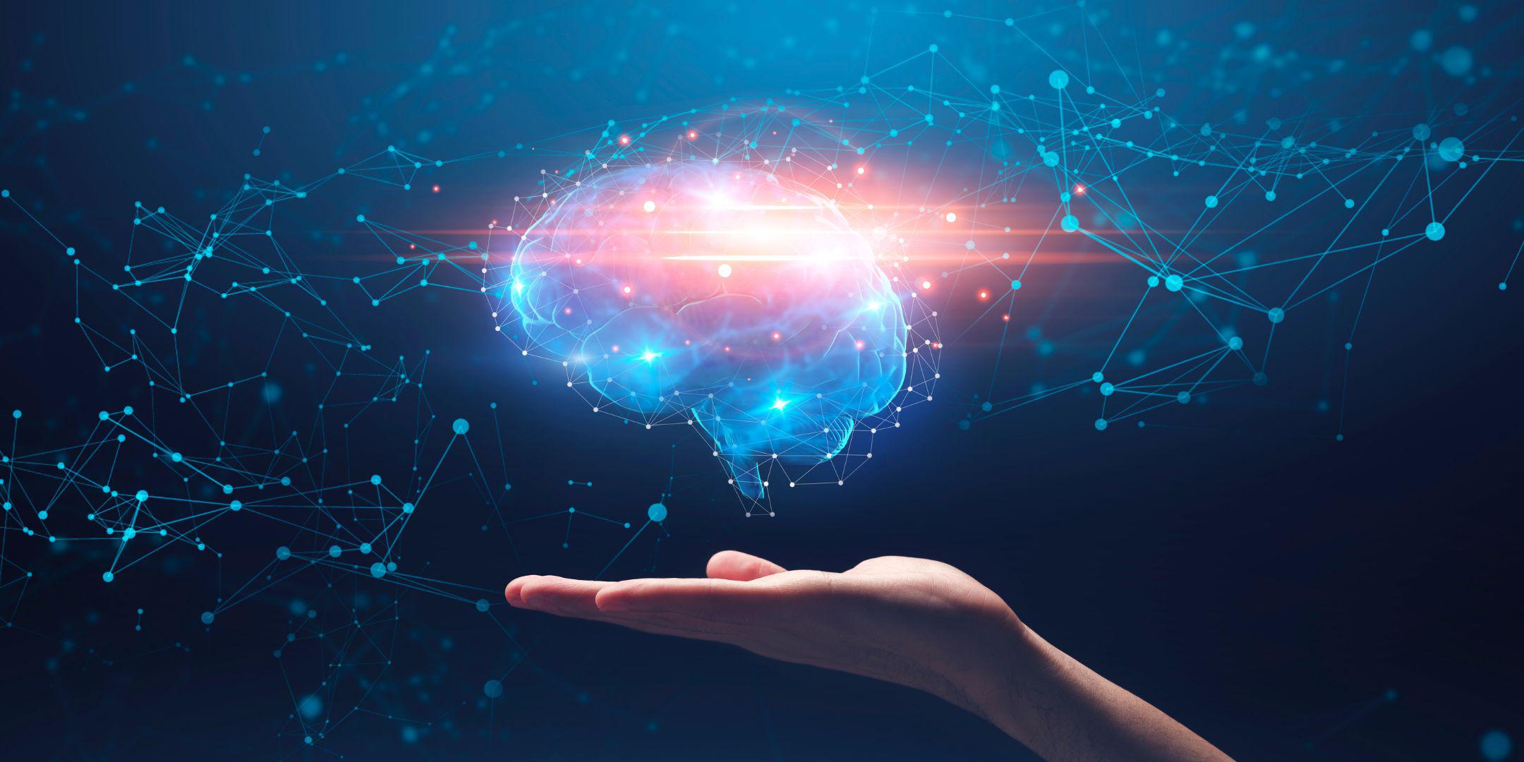 The New Brain Area That Controls All Behavior- Dr. Kyra Bobinet, MD ...