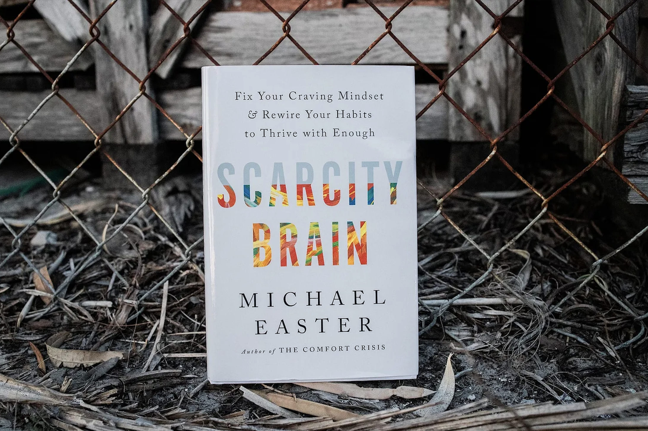 Scarcity Brain: Fix Your Craving Mindset—Neuro Nook (Book Club ...